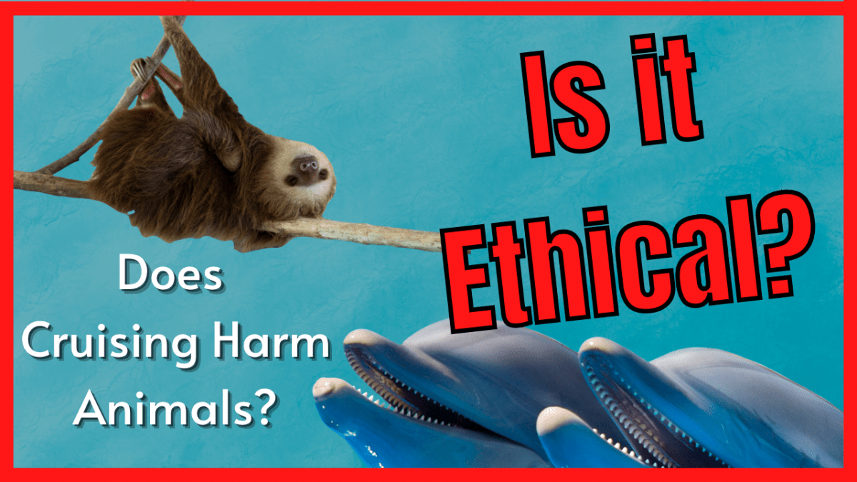 Ethical Animal Encounters – Cruising From The Ozarks